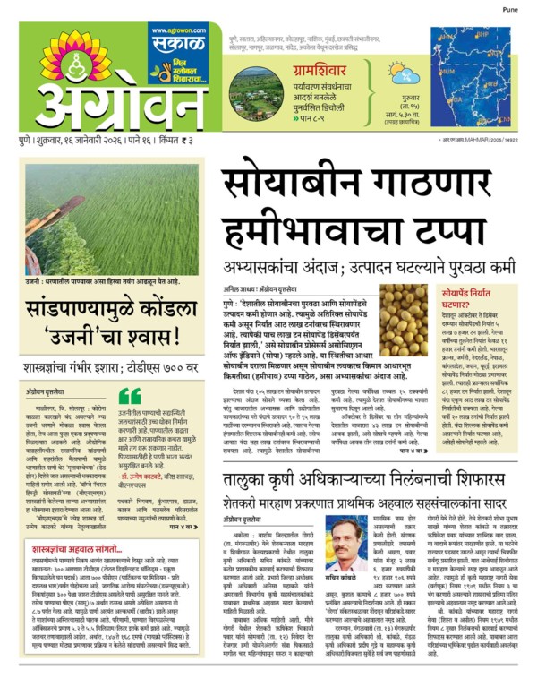 marathi articles today